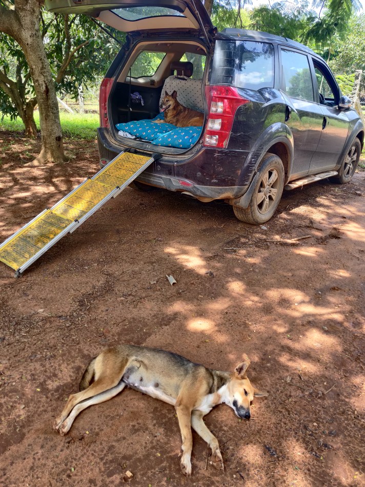 Chaita and her avatars – The BHARCS Blog